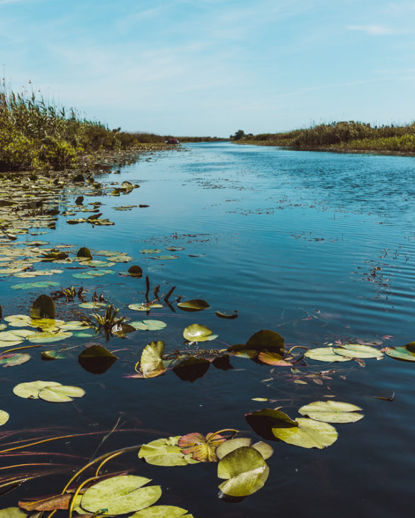 Danube Delta Travel Guide – A Nature Lover’s Paradise in Romania ...